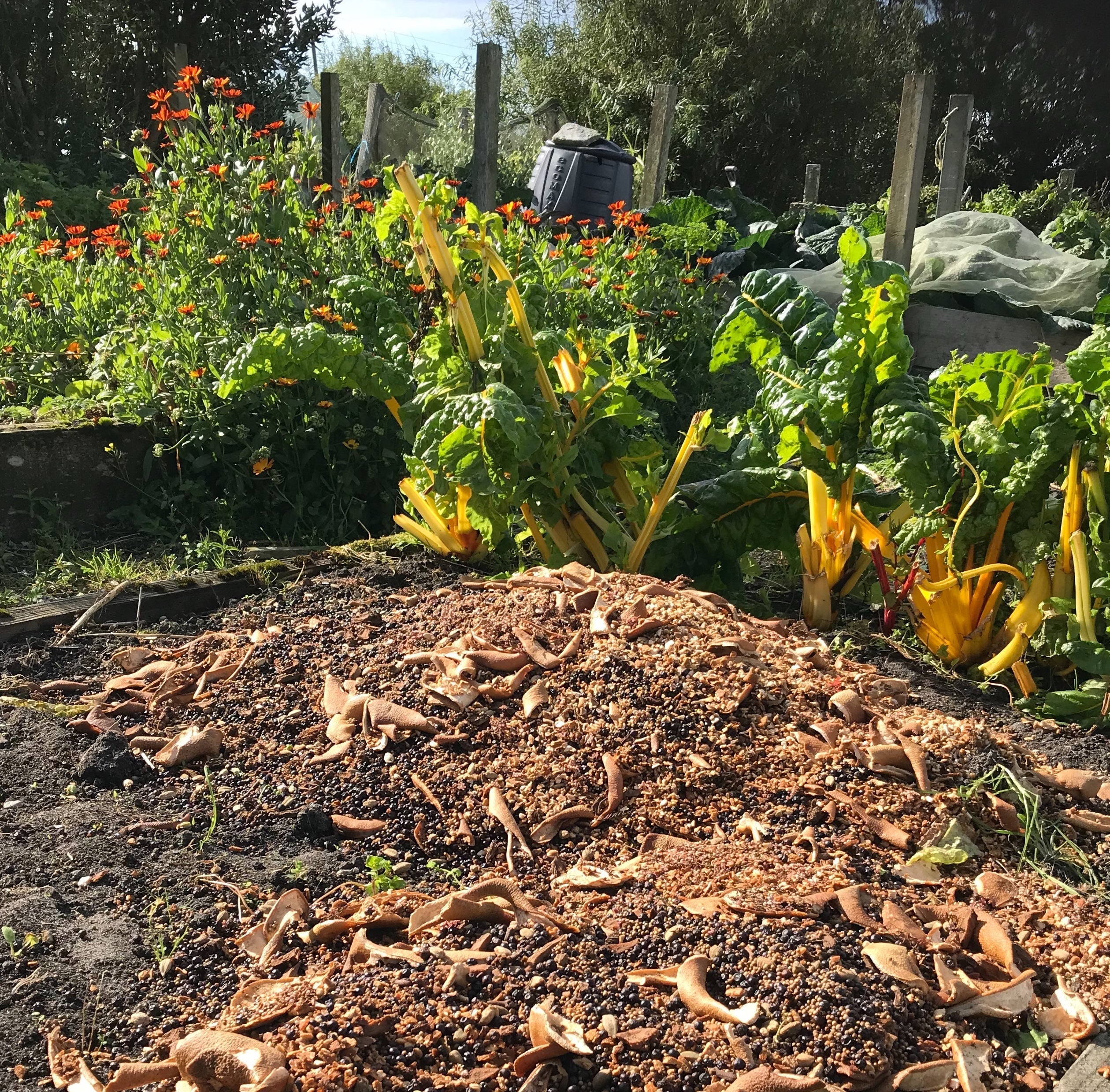 From Nature To Gin. And Back Again.